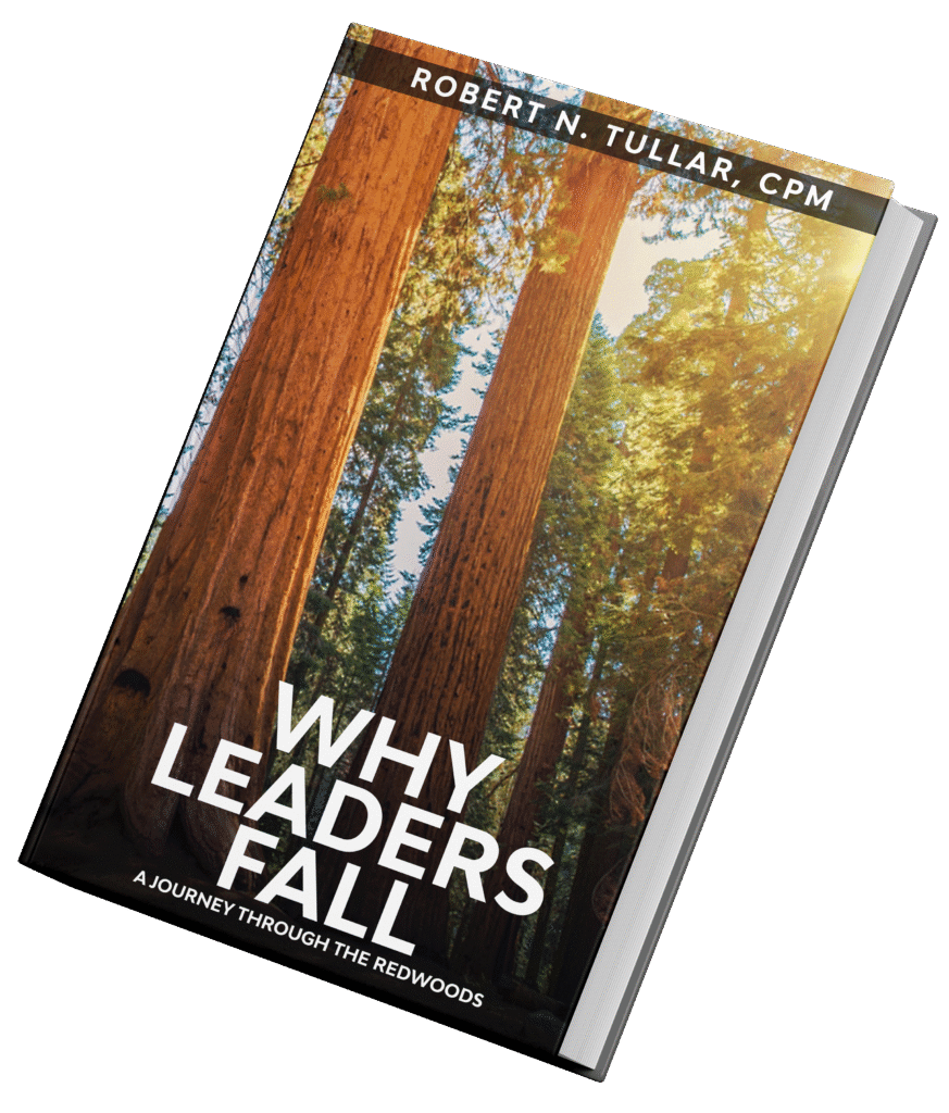 About the Book | Why Leaders Fall by Robert Tullar